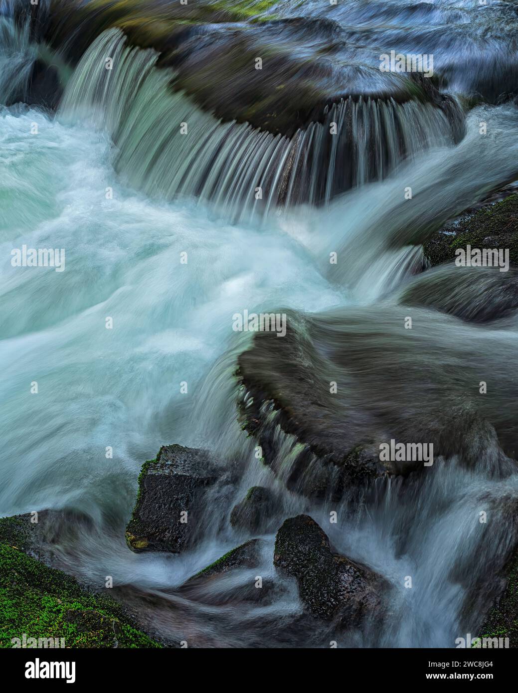 Detail of flowing water in the Tremont section of Great Smoky Mountains ...