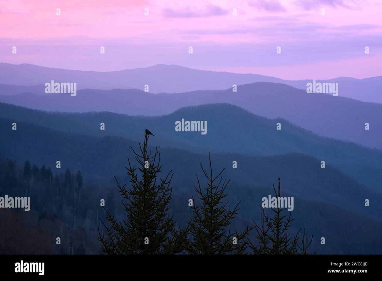 Luftee overlook hi-res stock photography and images - Alamy
