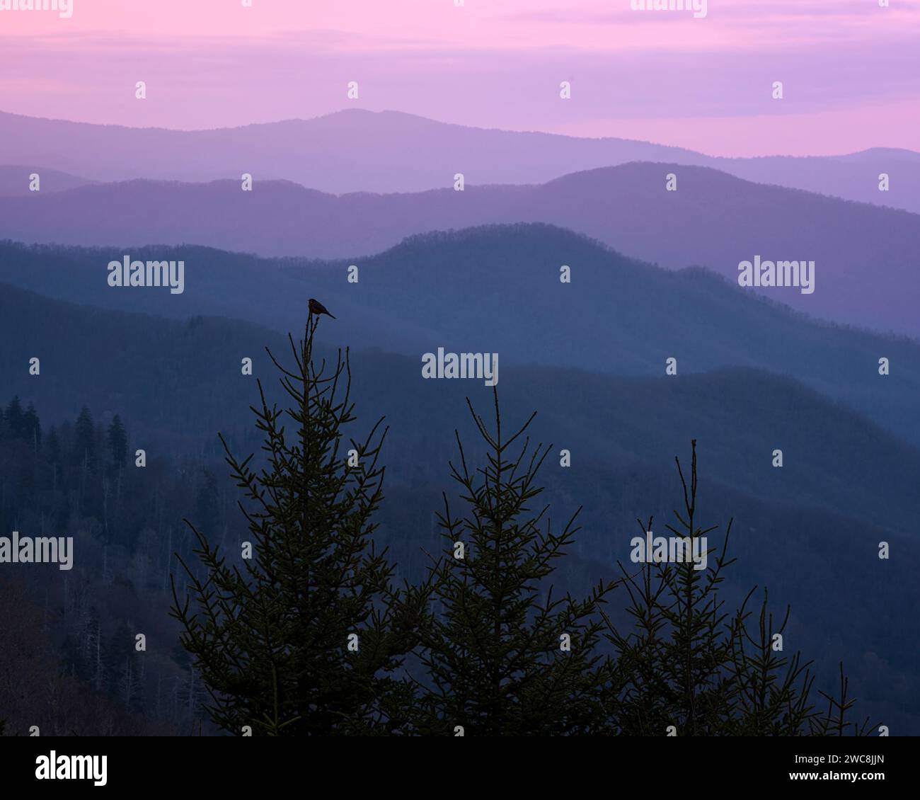 Luftee overlook hi-res stock photography and images - Alamy