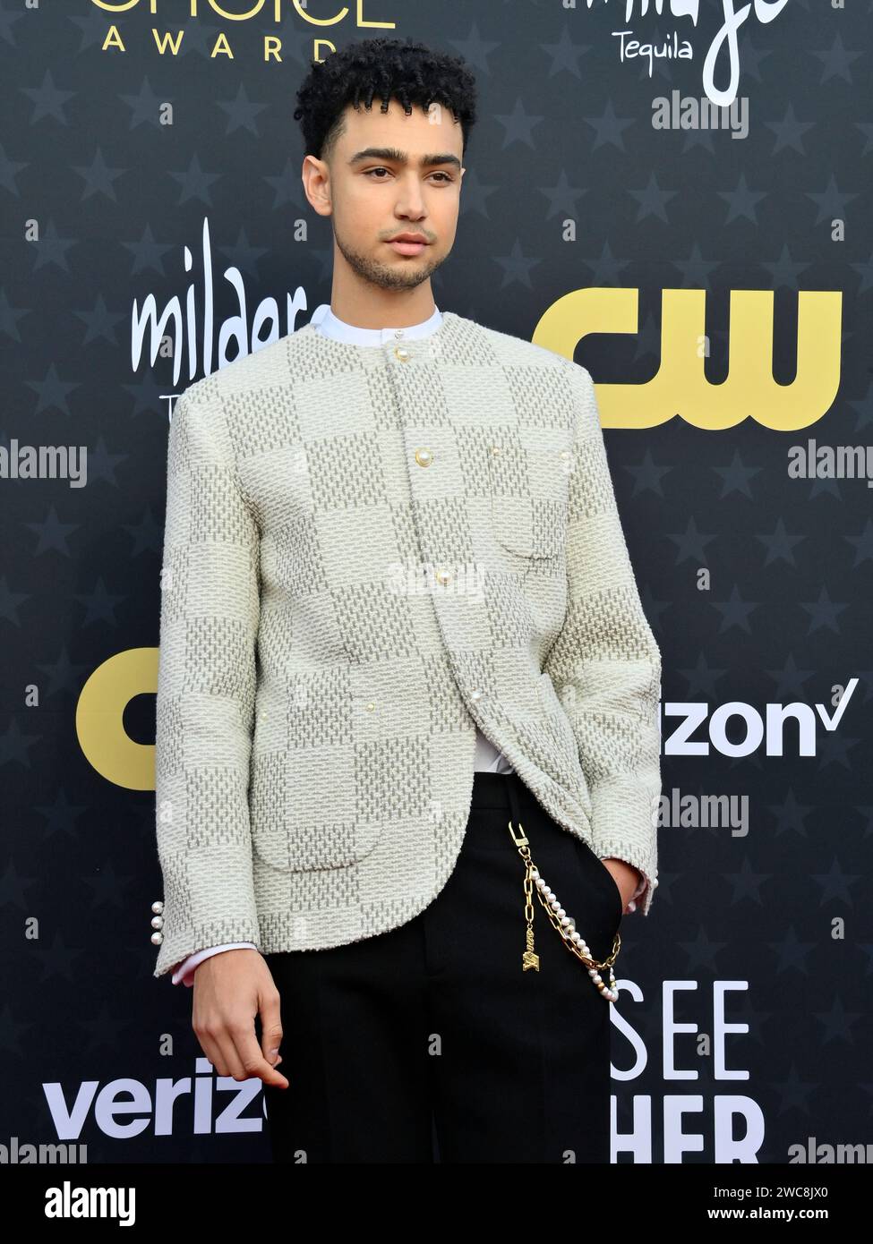 Los Angeles, United States. 14th Jan, 2024. Archie Madekwe attends the ...