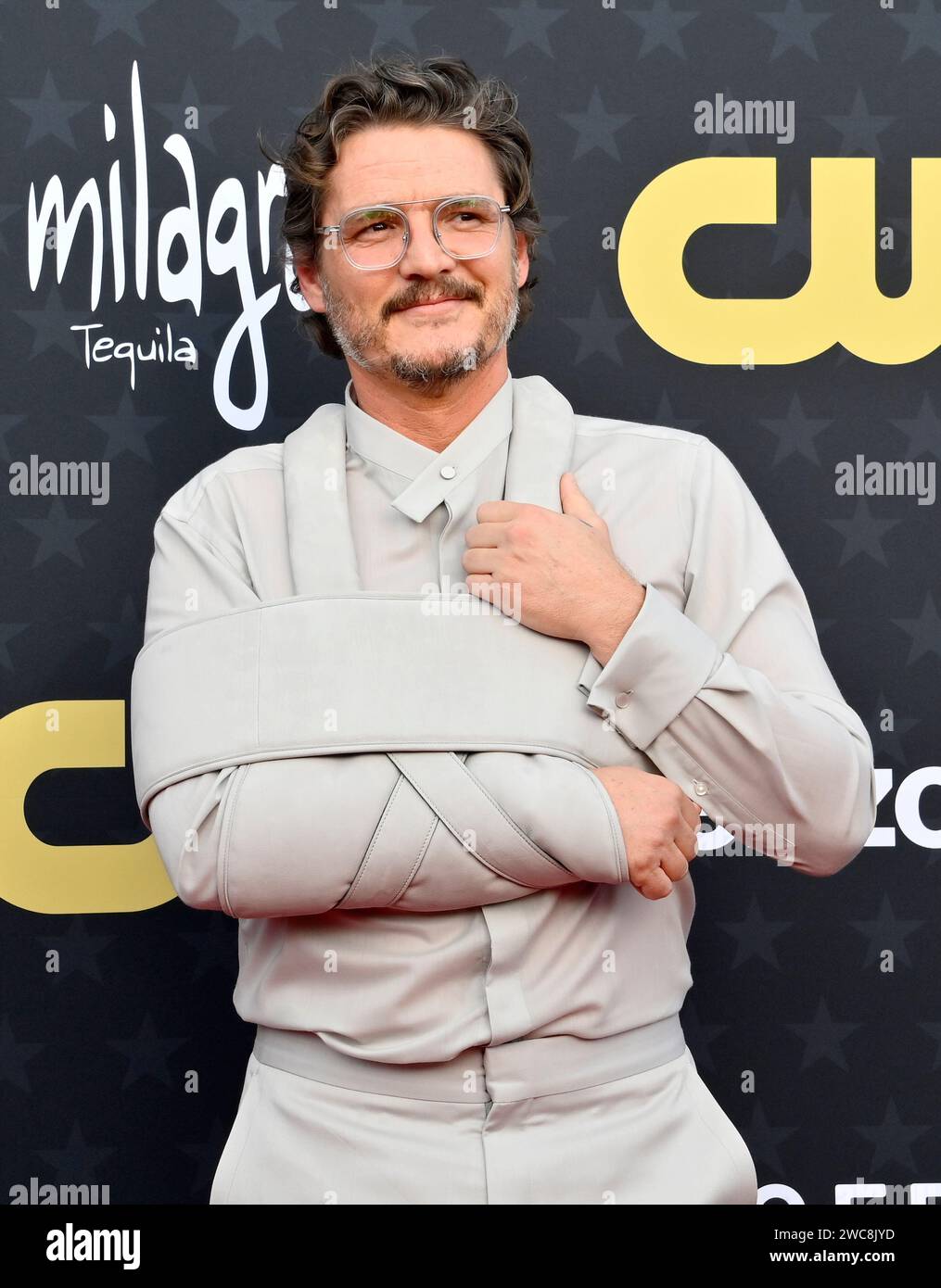 Los Angeles, United States. 14th Jan, 2024. Pedro Pascal attends the ...