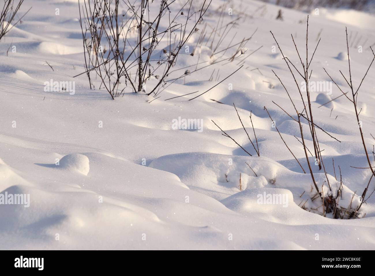 Snow prairies hi-res stock photography and images - Alamy
