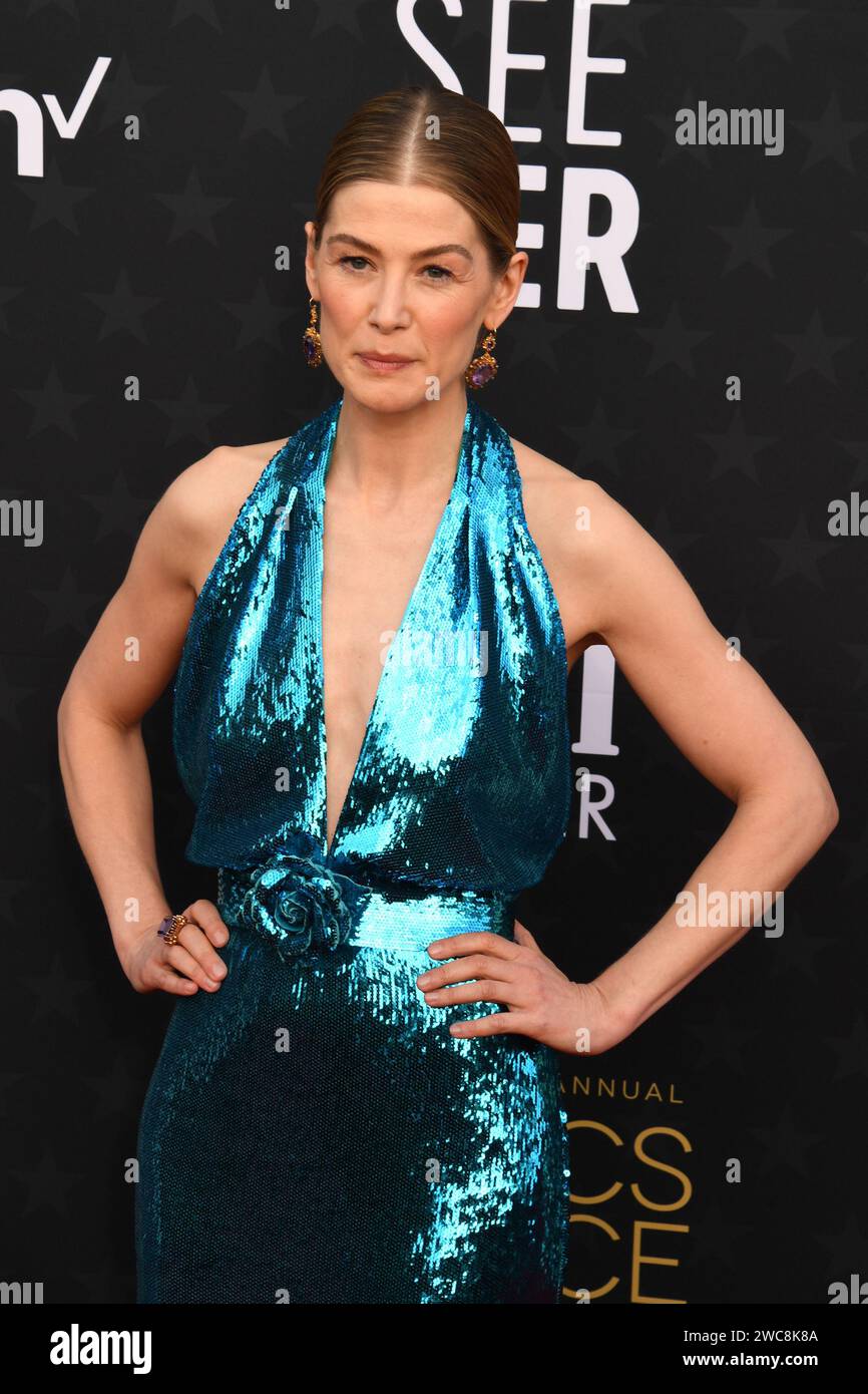 Santa Monica, Ca. 14th Jan, 2024. Rosamund Pike at the 29th Annual ...