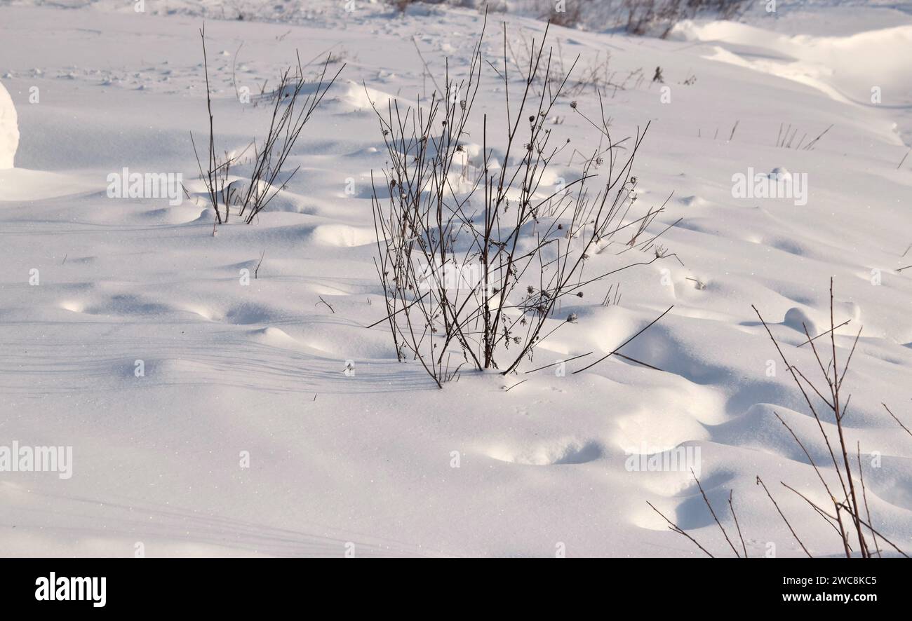 Snow prairies hi-res stock photography and images - Alamy