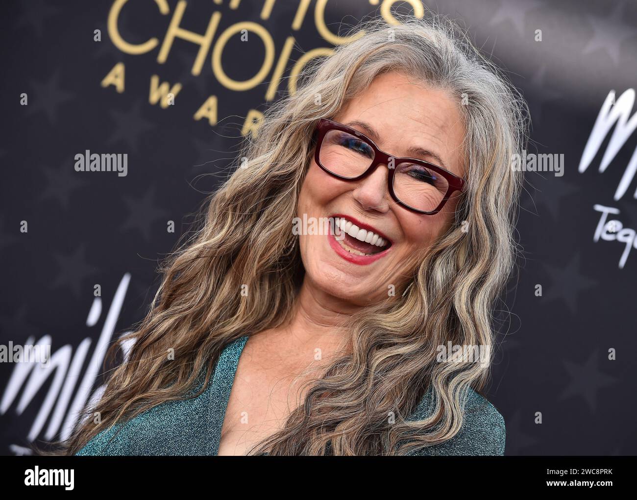 Santa Monica, USA. 14th Jan, 2024. Mary McDonnell arriving at the 29th ...