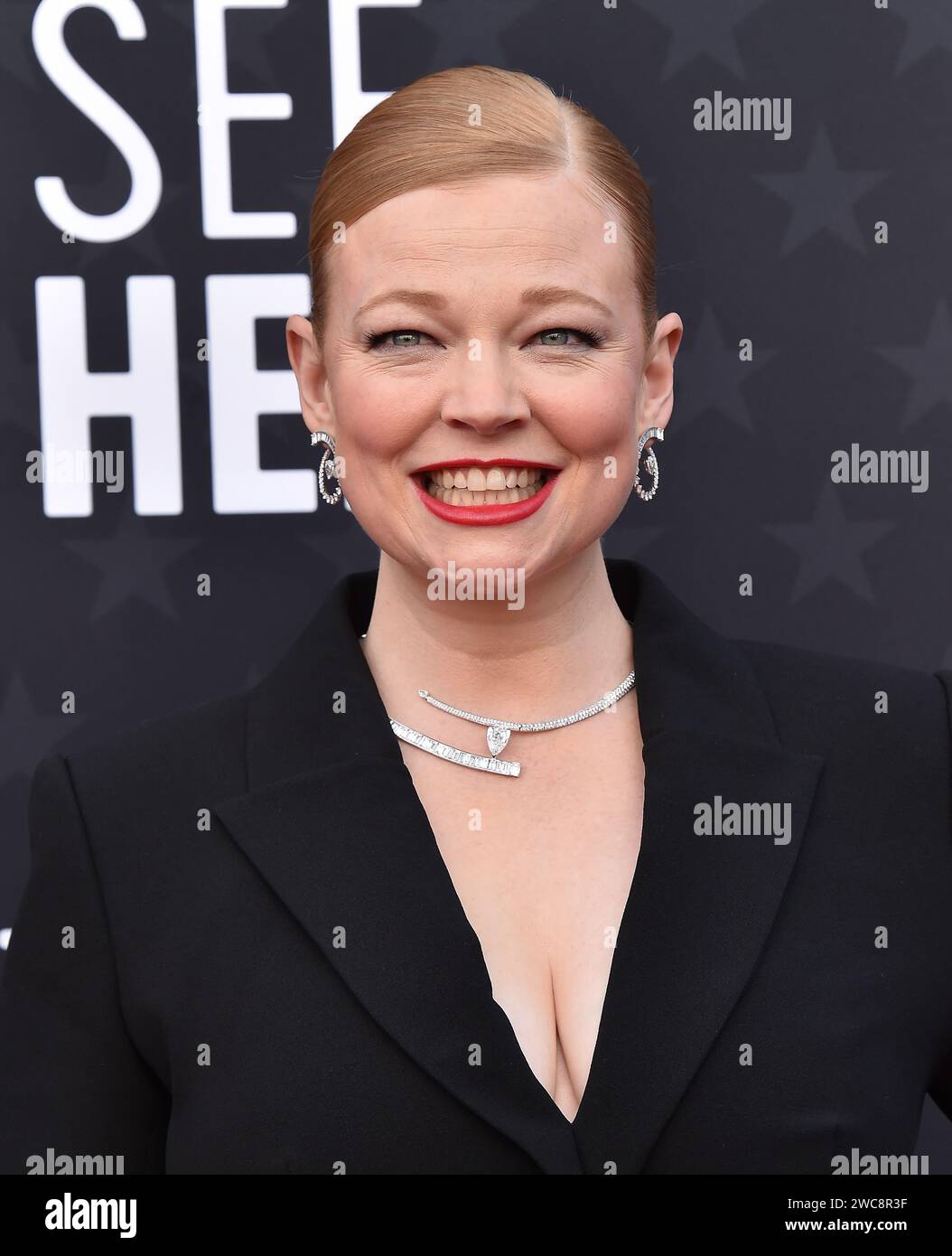 Santa Monica, USA. 14th Jan, 2024. Sarah Snook arriving at the 29th ...