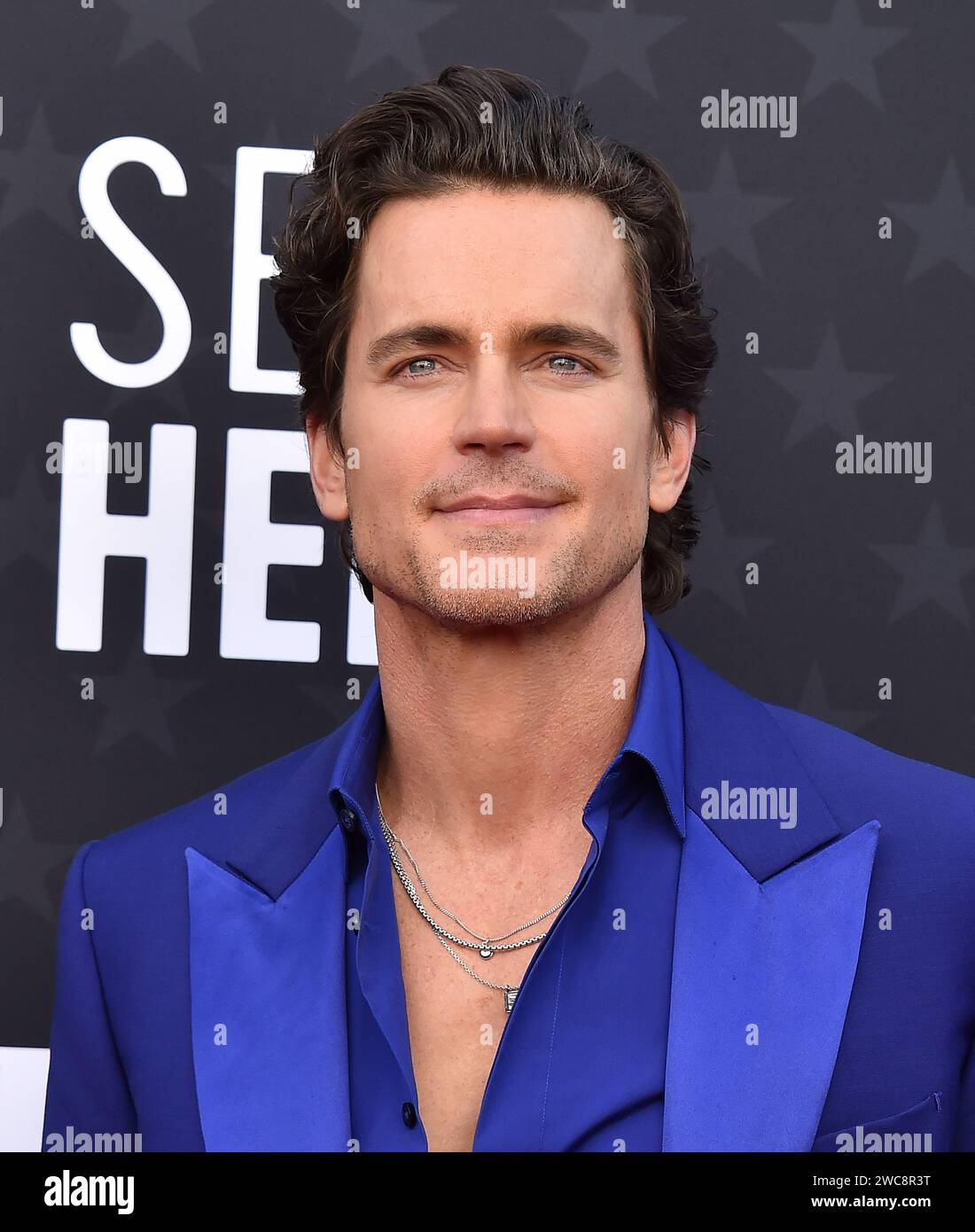 Santa Monica, USA. 14th Jan, 2024. Matt Bomer arriving at the 29th ...