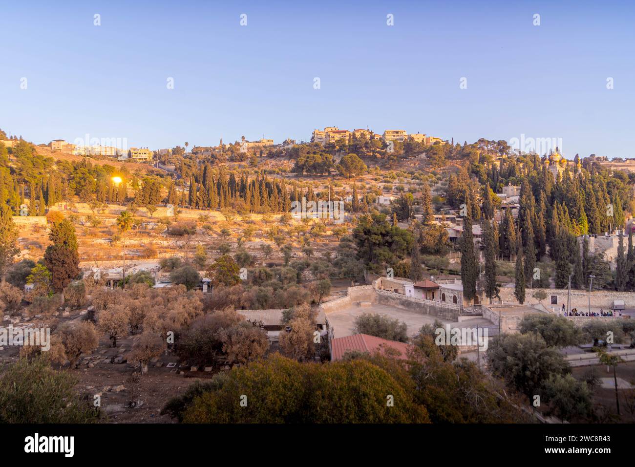 The trees and cypresses on the hills of Mount of Olives, the Christian ...