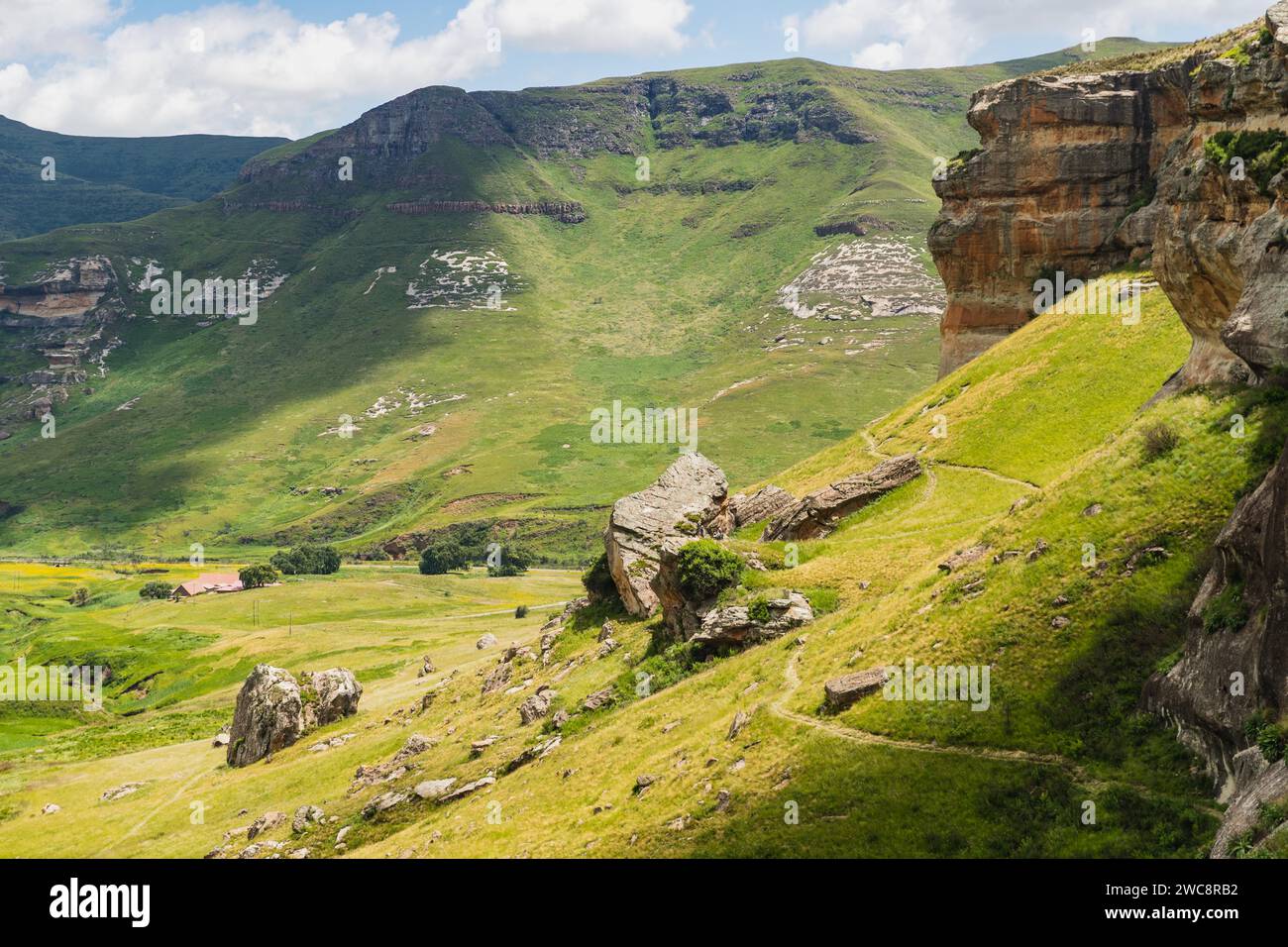 Free State. 14th Jan, 2024. This photo taken on Jan. 14, 2024 shows the ...