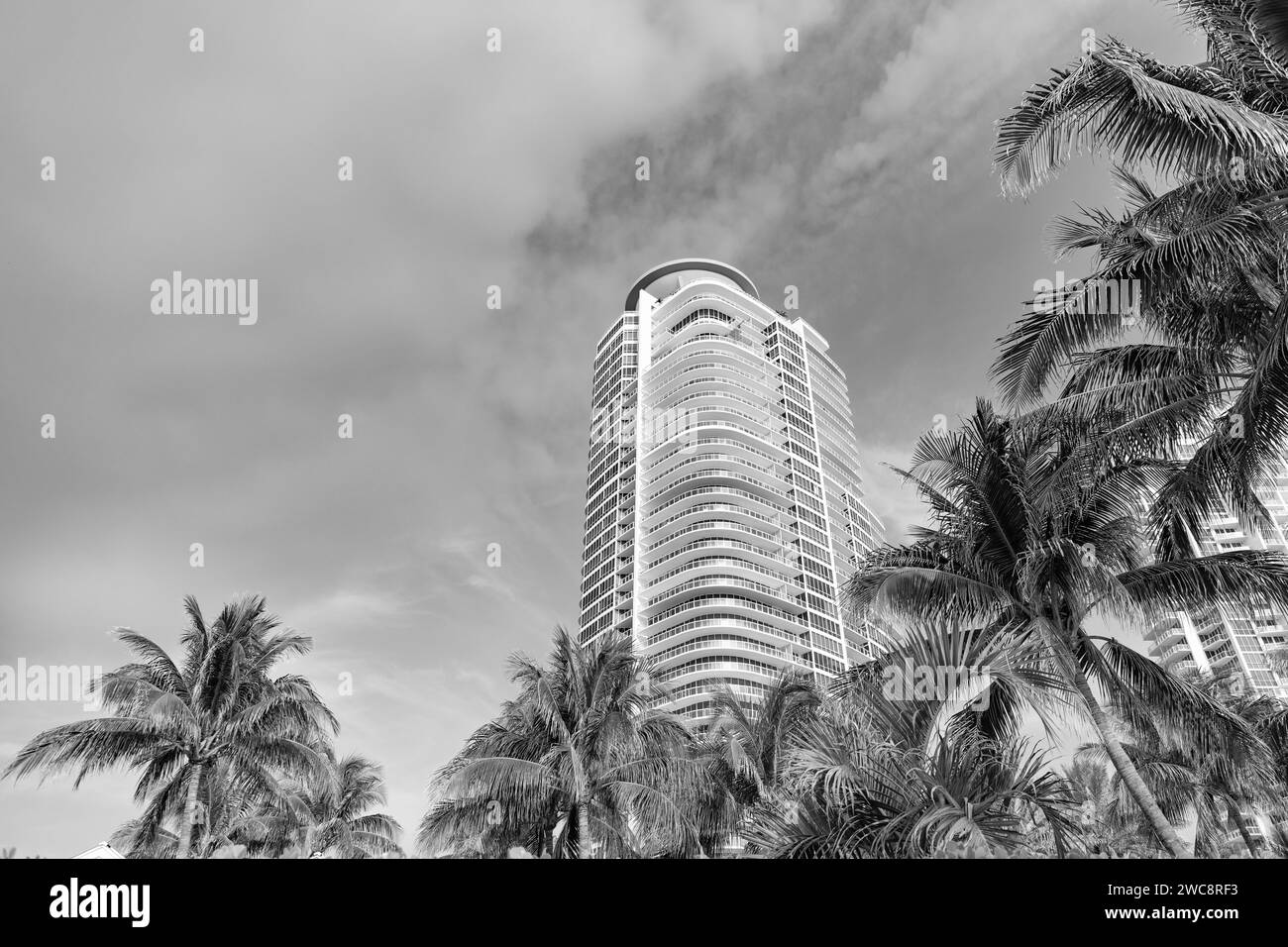 skyscraper building architecture in florida with palms. skyscraper ...