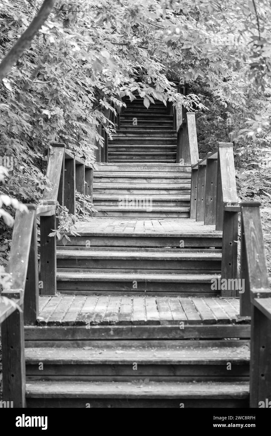 stairs way to future success. stairs way to future success grey color ...