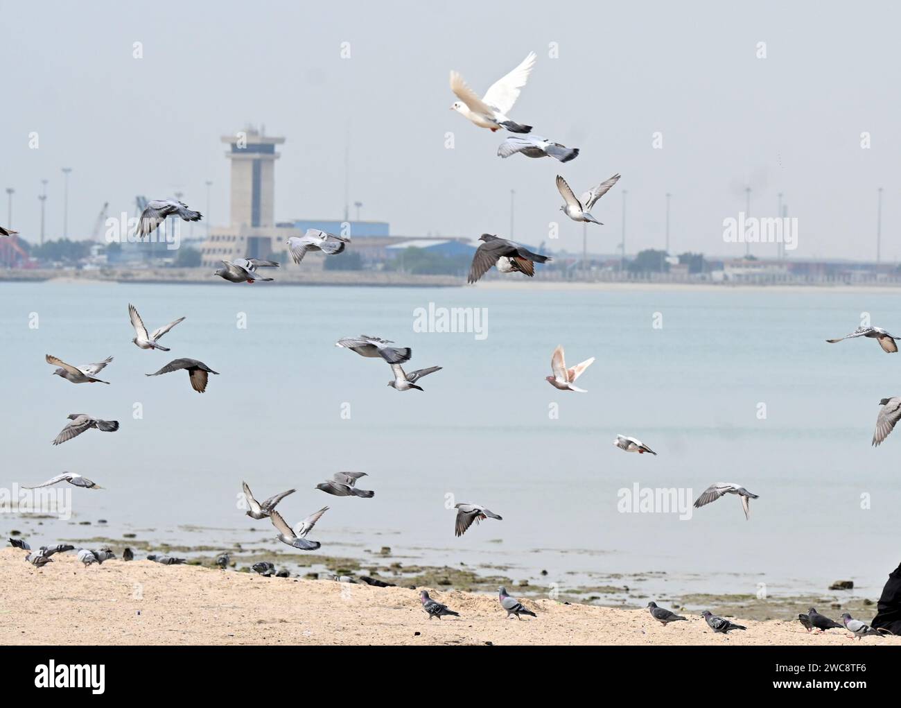 Jan 14 2024 hi-res stock photography and images - Alamy