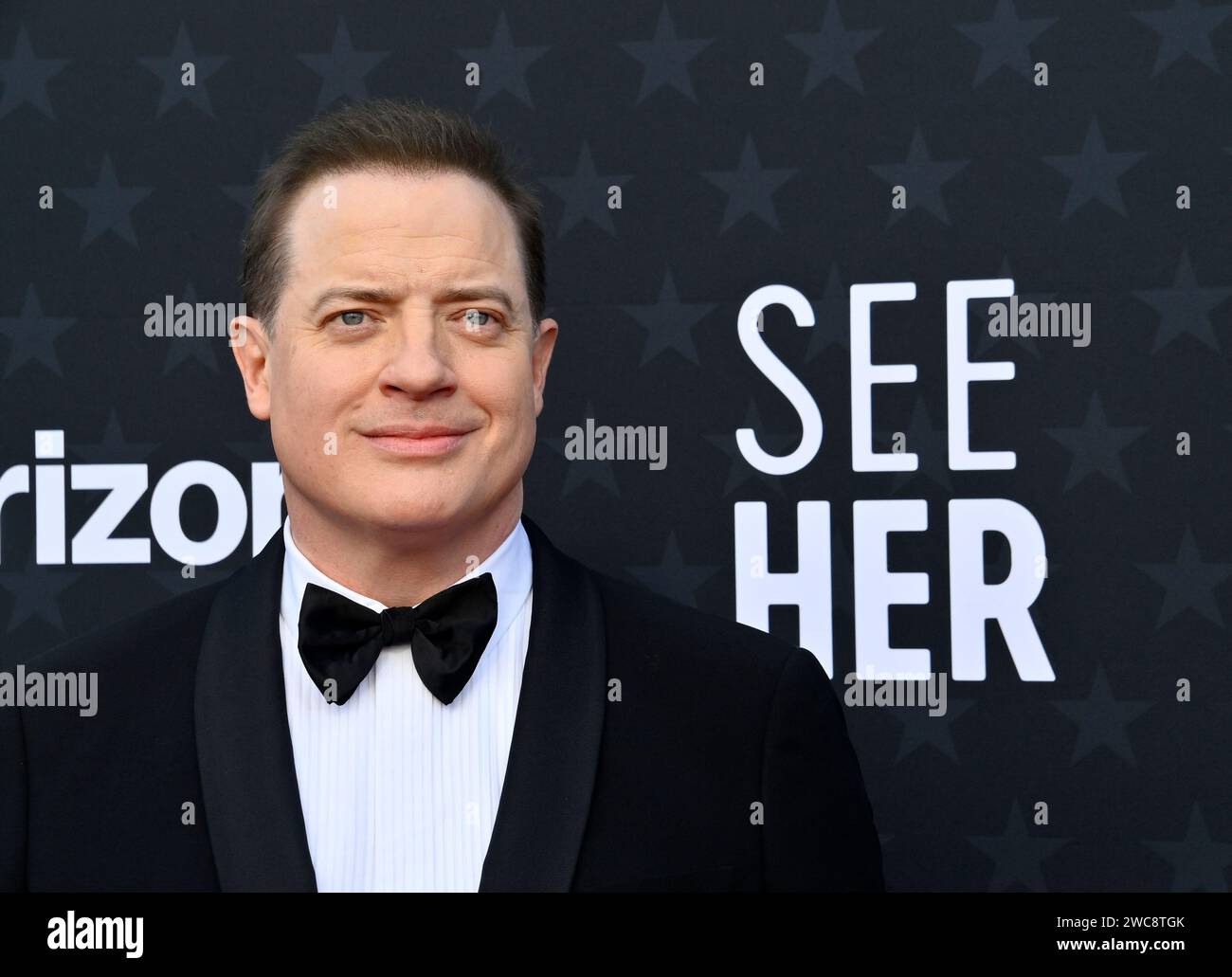 Los Angeles, United States. 14th Jan, 2024. Brendan Fraser attends the ...