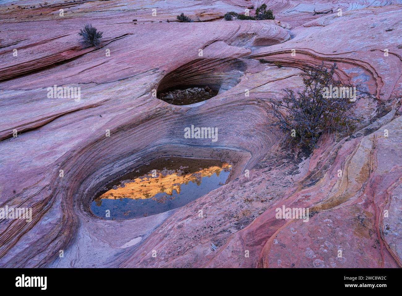 Reflection in small pool high on a Mesa in Zion National Park, Utah ...