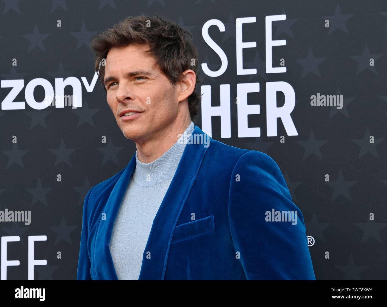 Los Angeles, United States. 14th Jan, 2024. James Marsden attends the ...
