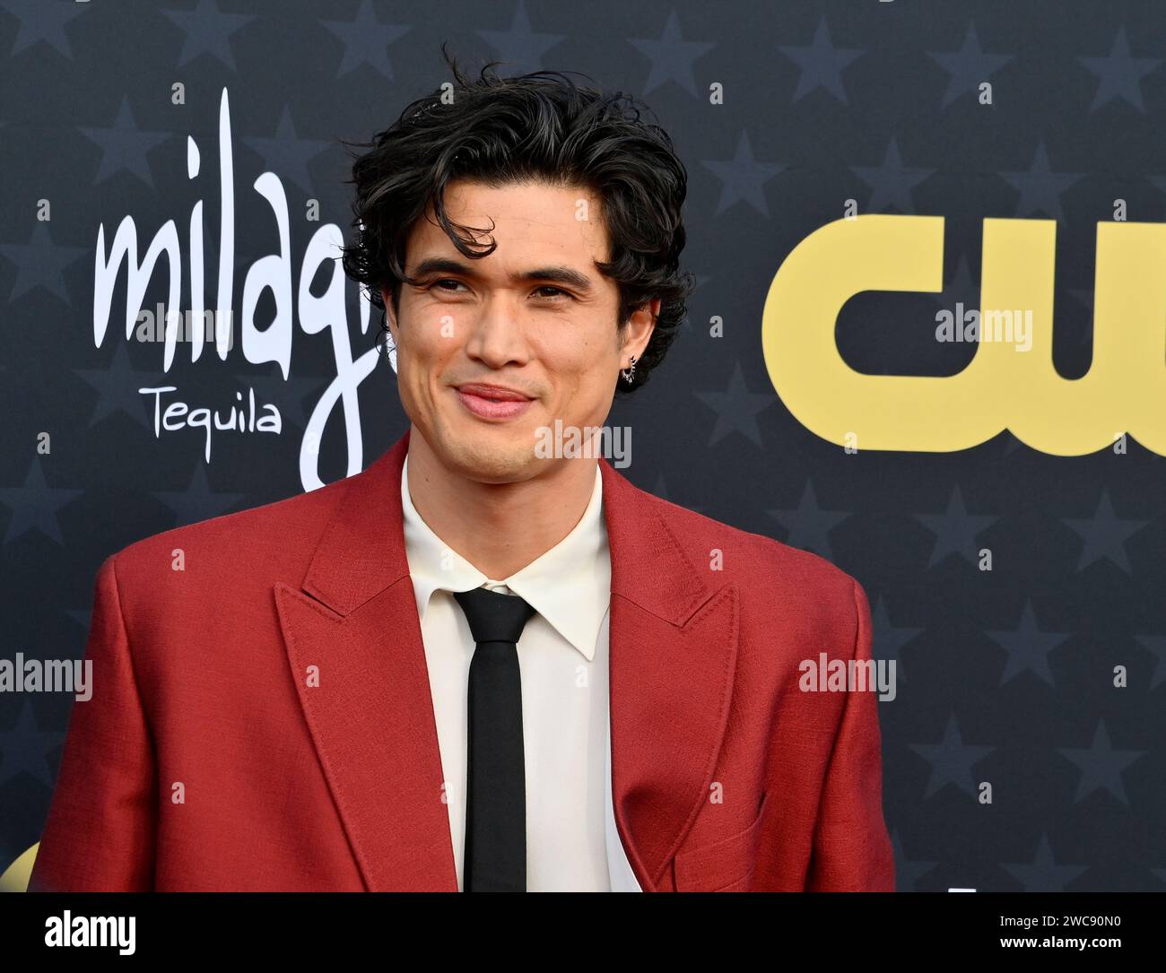 Charles melton 2024 hi-res stock photography and images - Alamy