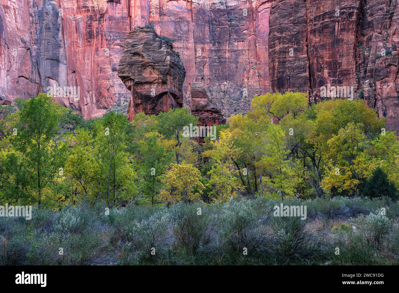 Rock formations known as the Pulpit and Altar in Zion National Park ...