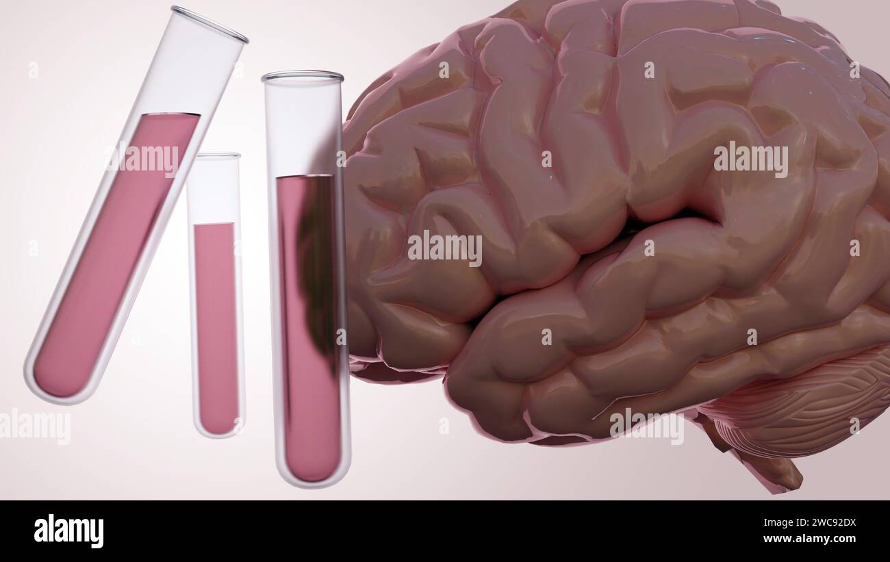 3d rendering of a human brain and two test tubes filled with a clear ...