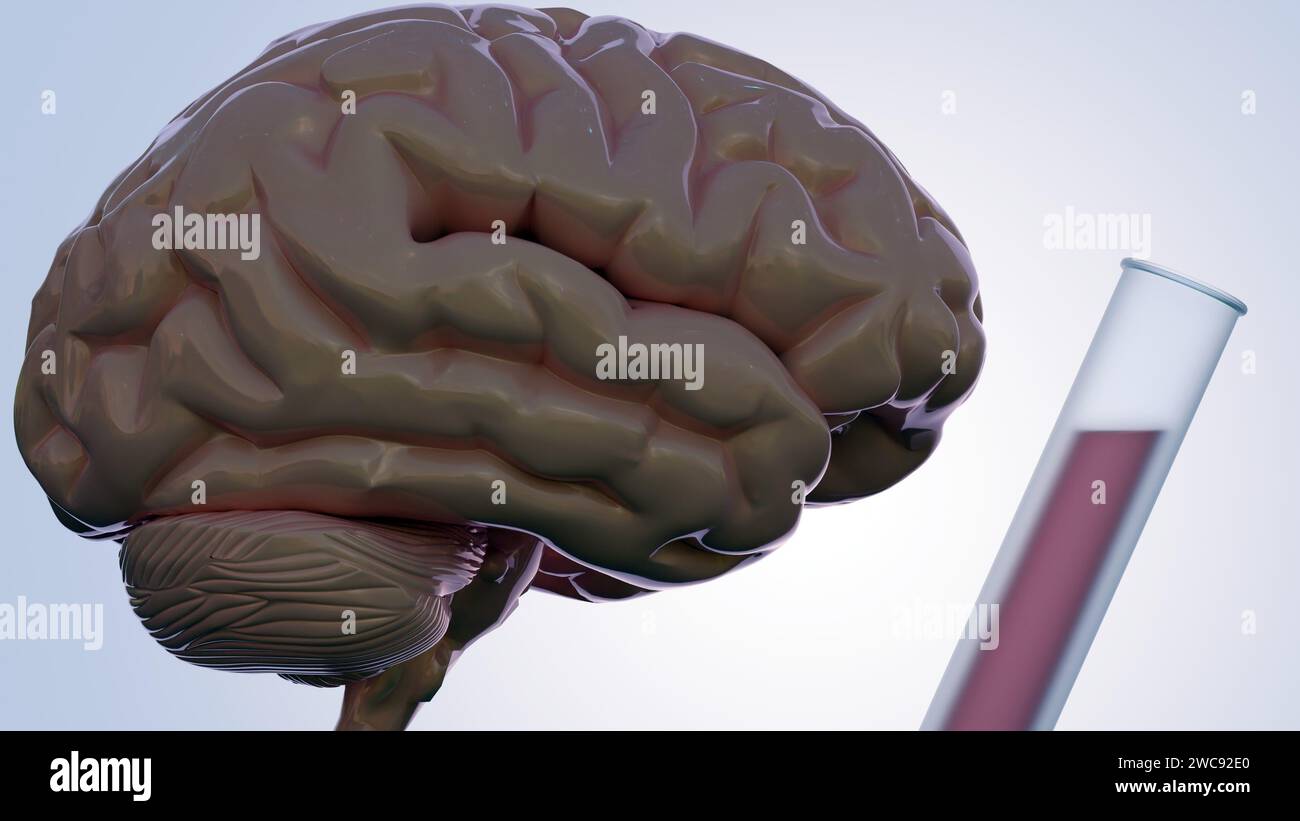 3d rendering of a human brain and two test tubes filled with a clear ...