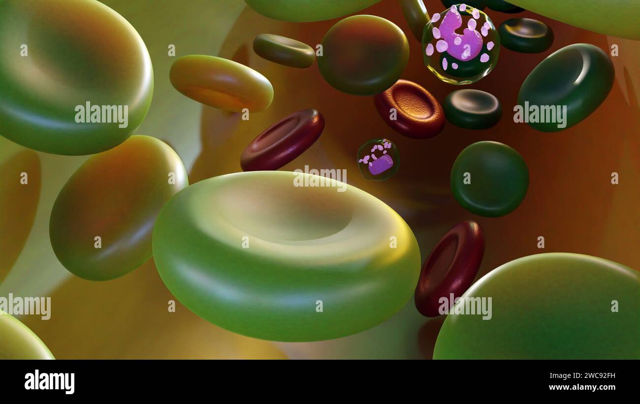 Oxygen level levels hi-res stock photography and images - Alamy