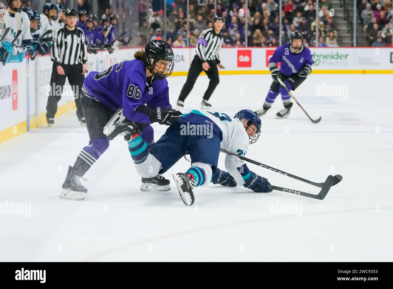 Professional packer hi-res stock photography and images - Alamy