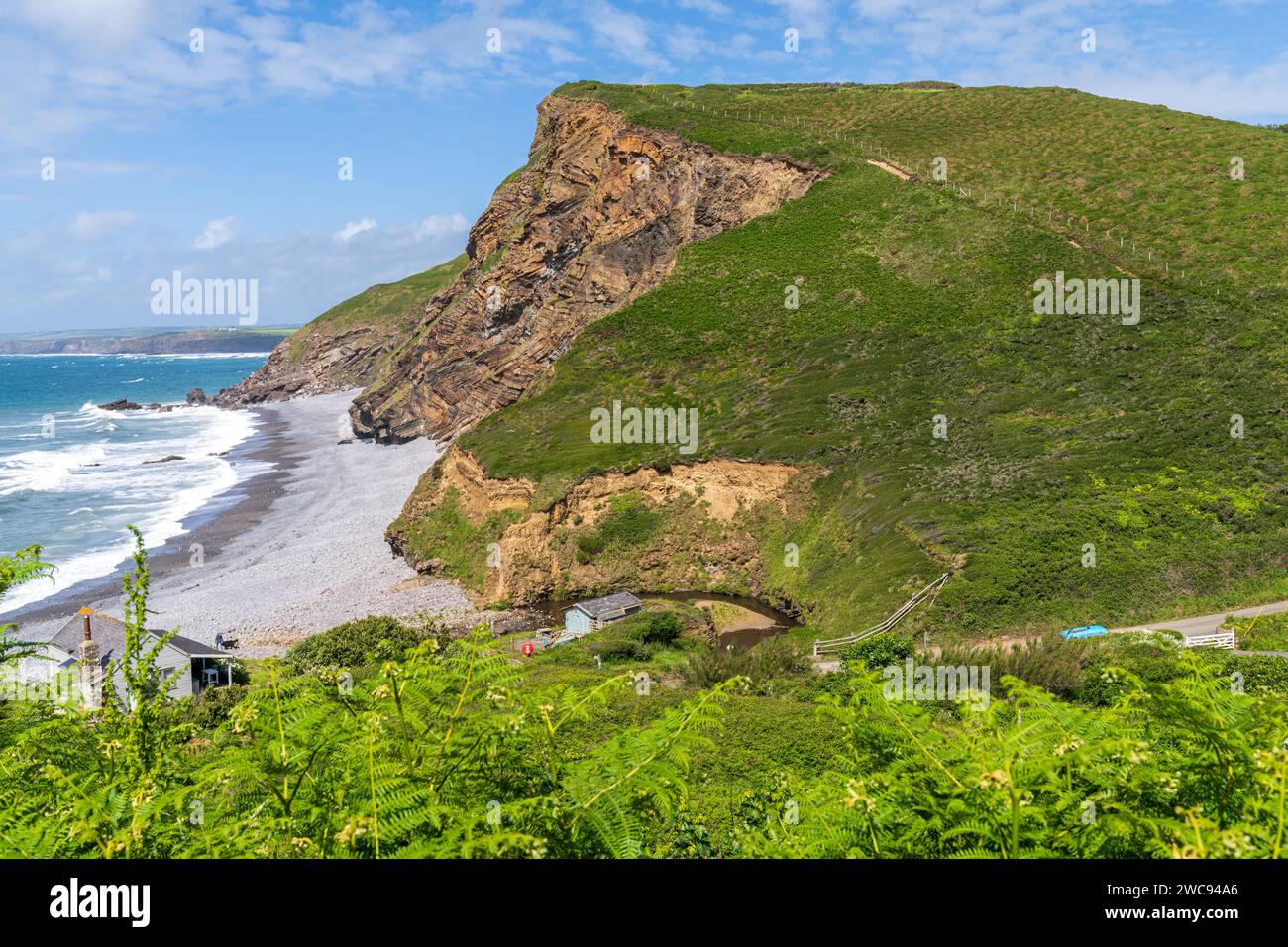 The cliffs and beach in Millook Haven, Cornwall, England, UK Stock ...