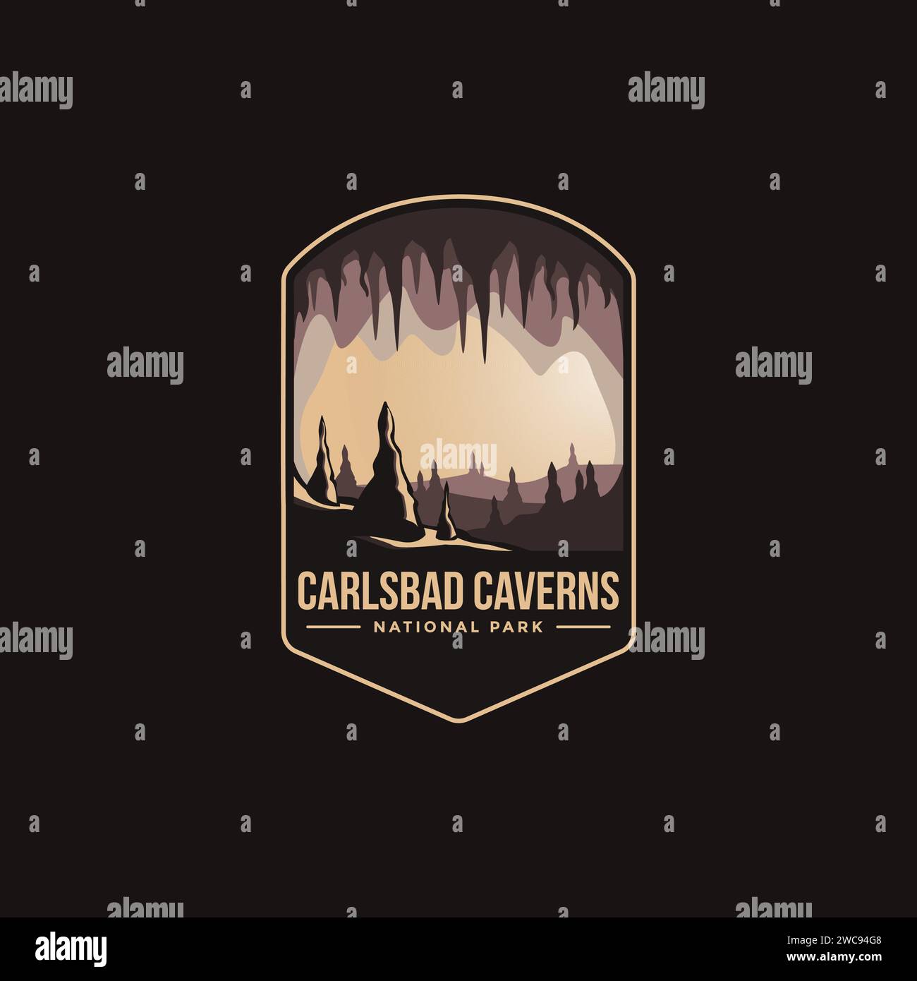 Emblem patch logo illustration of Carlsbad Caverns National Park on ...