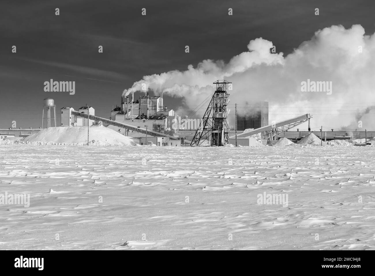 Sperry plant hi-res stock photography and images - Alamy
