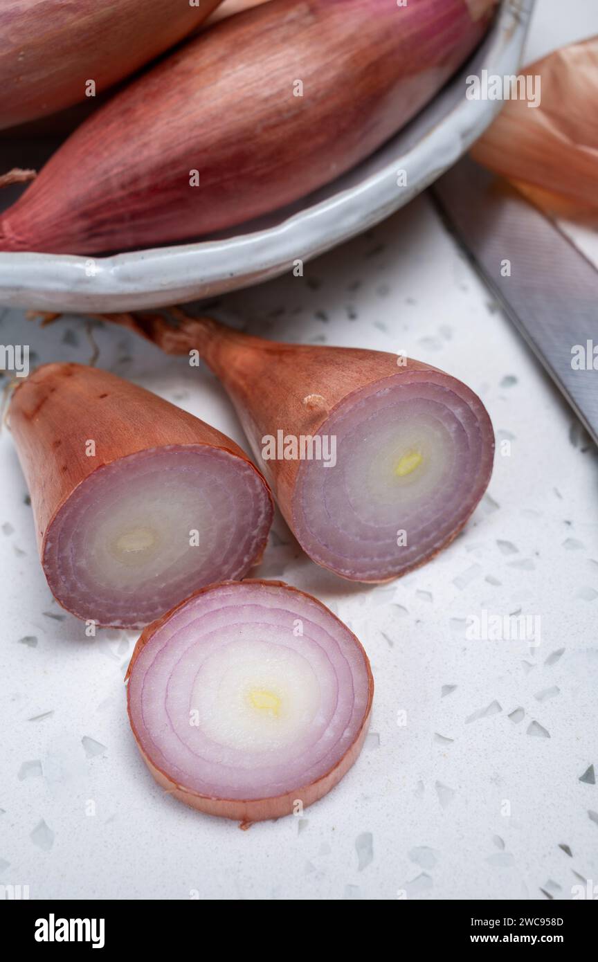 French long pink shallots grappe onion from Brittany, France close up ...