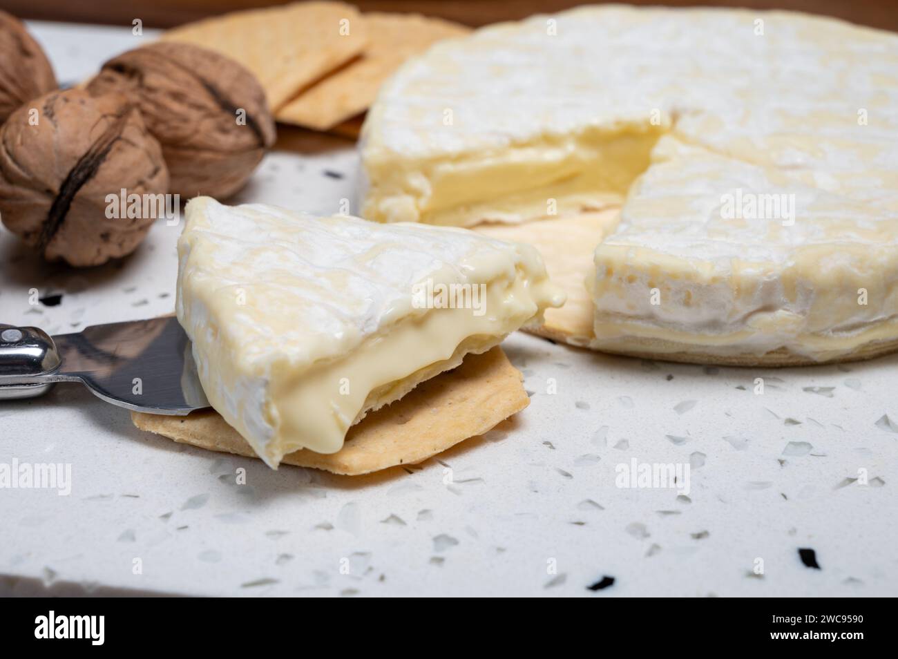French soft Cremeux de Normandie cheese, soft creamy cheese with white ...