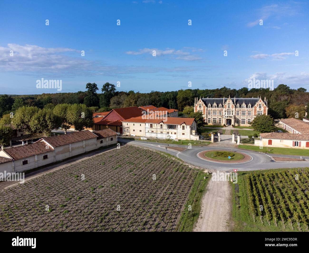 Aerial view, left bank Gironde Estuary, green vineyards, red Cabernet ...