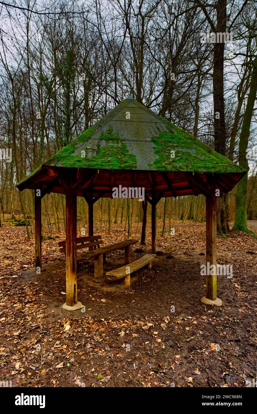 Open cabin hi-res stock photography and images - Alamy