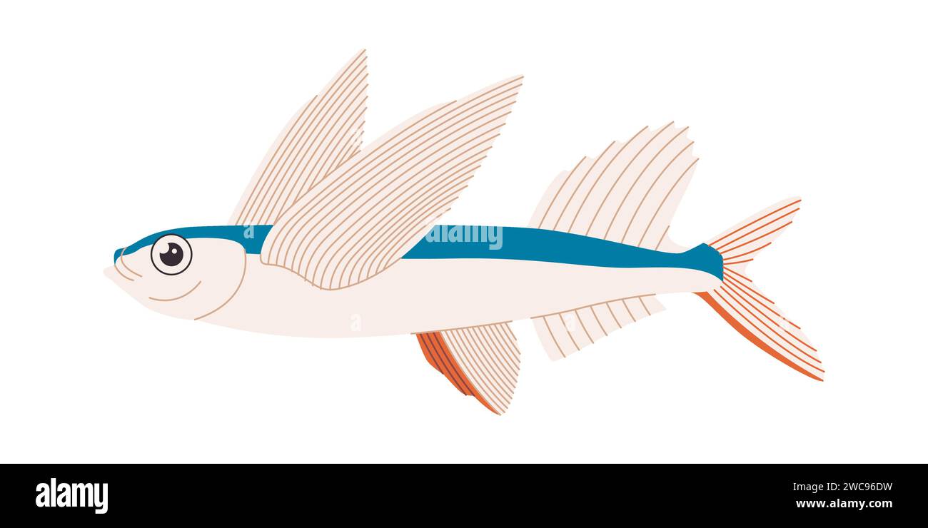 Flying fish barbados Stock Vector Images - Alamy