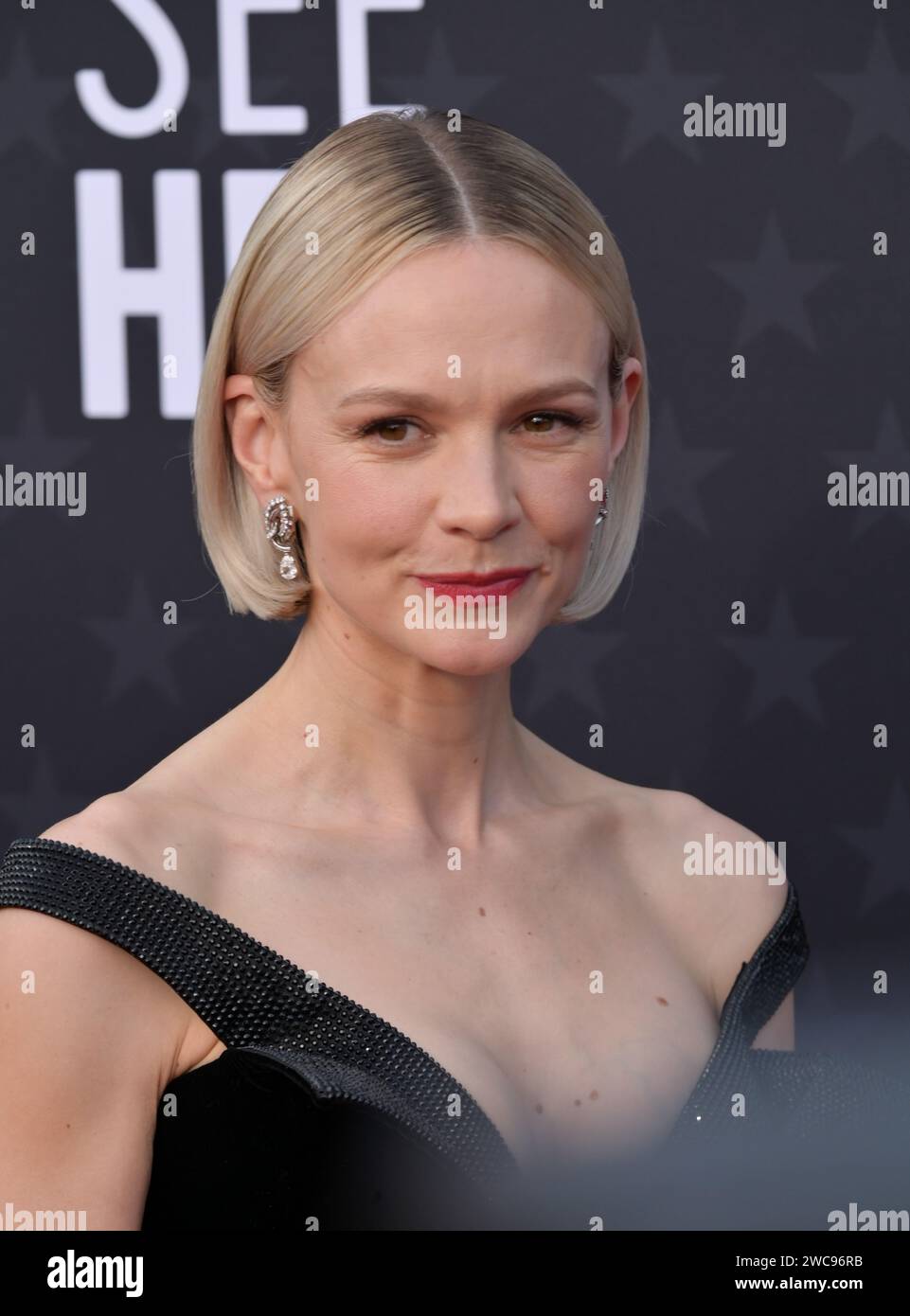 Santa Monica, USA. 14th Jan, 2024. SANTA MONICA, USA. January 14, 2024 ...