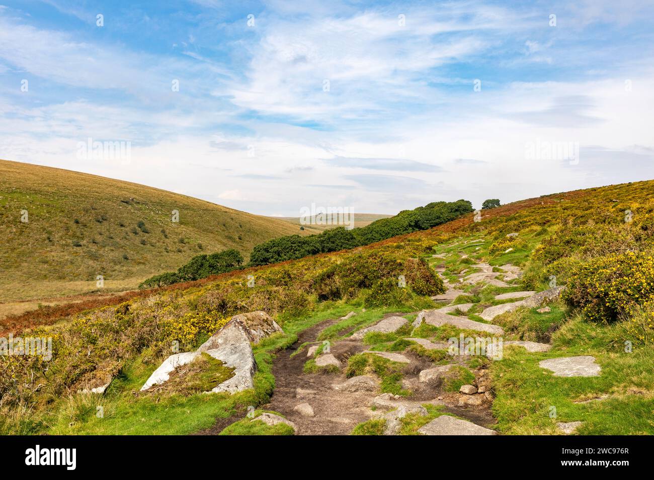West Dart valley and Wistmans oak wood in the distance, walking path to ...