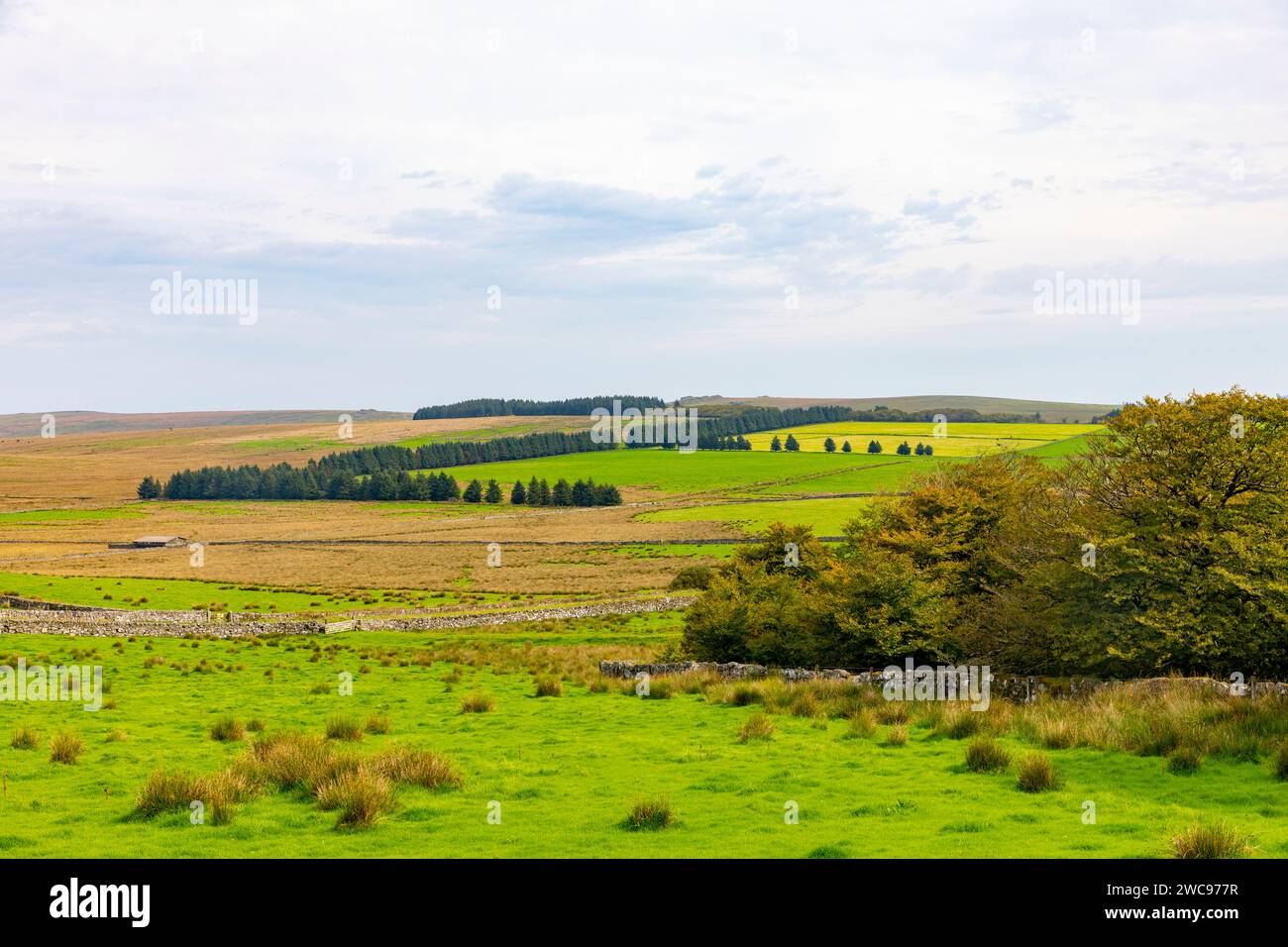 Princetown, Dartmoor national park in Devon and local countryside and ...