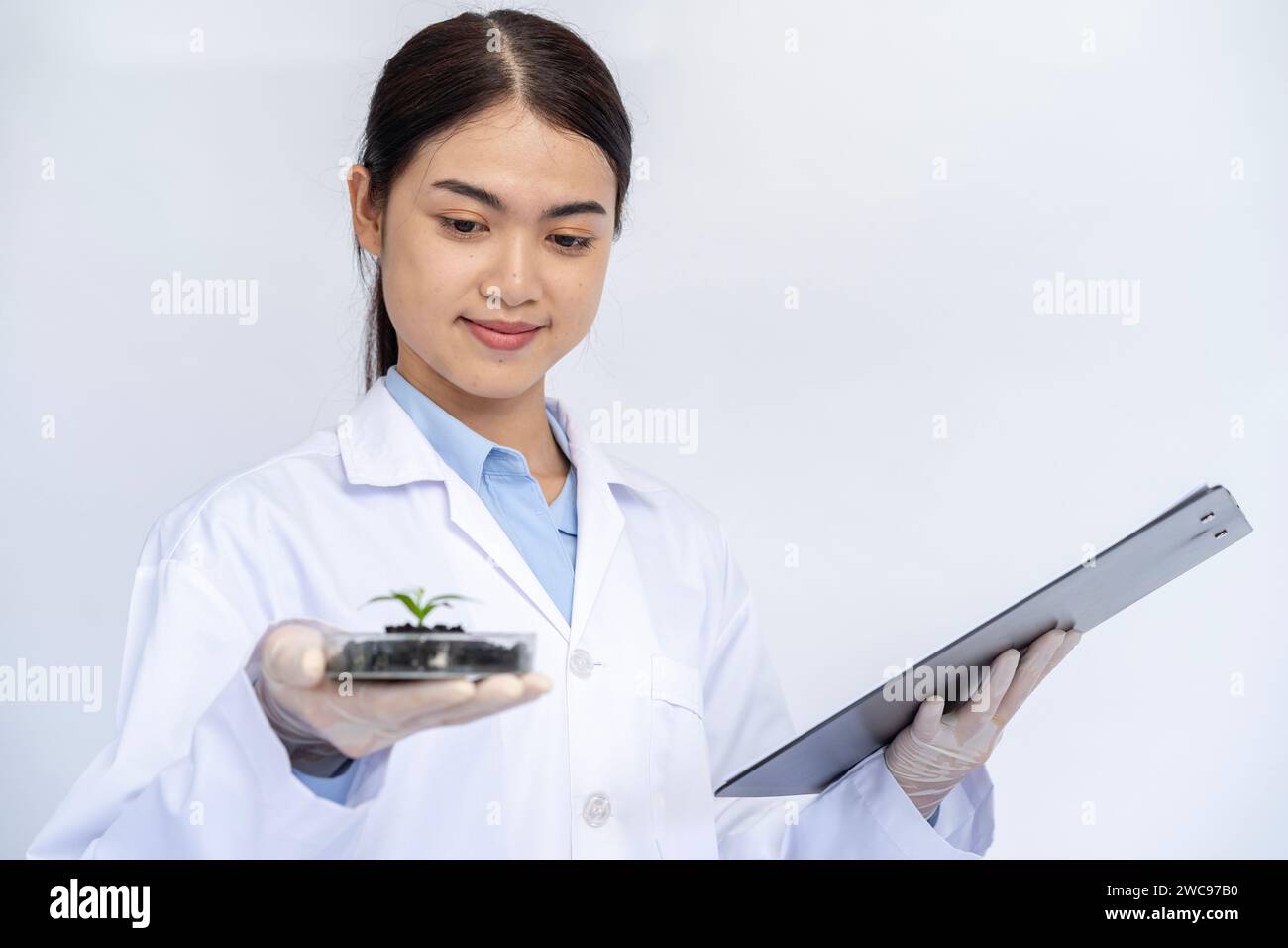 A biologist is studying the tissue of seedlings in the laboratory Stock ...