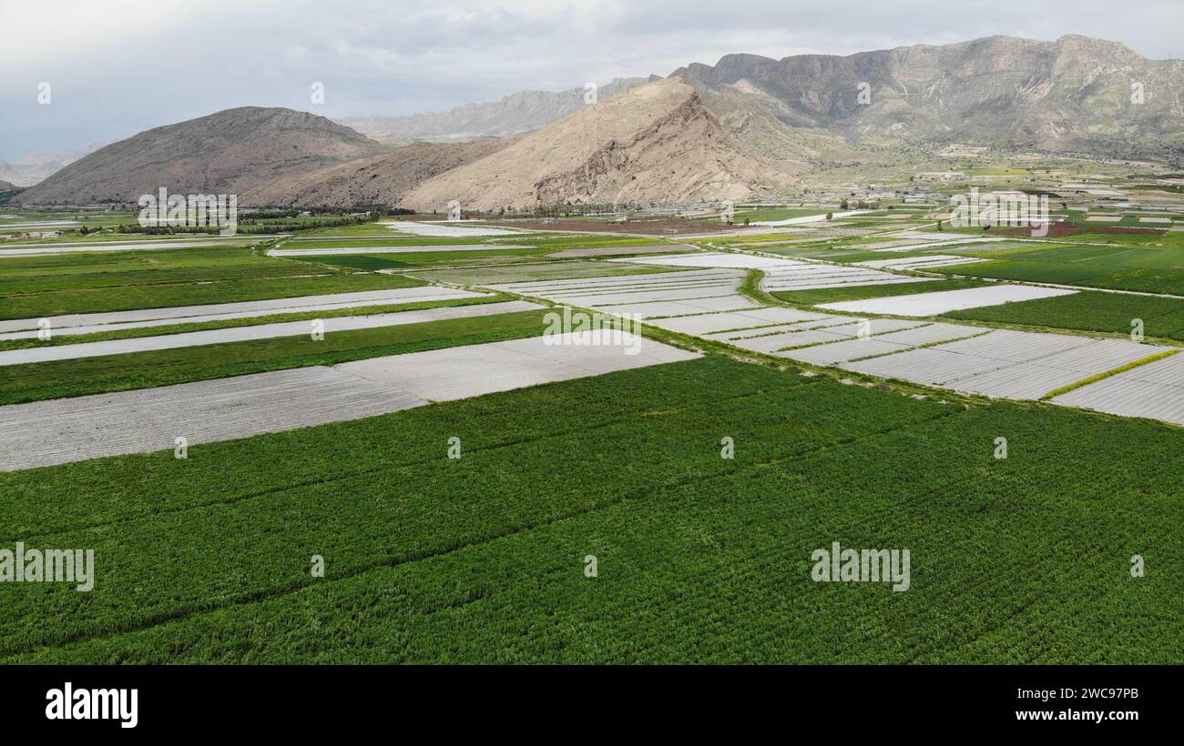 Aerial photos of rice fields and farmland near Shiraz, Iran – lush ...