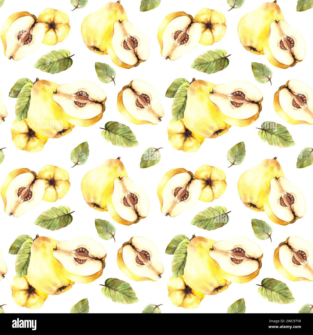 Watercolor hand painted seamless pattern. Yellow juicy quince whole and ...