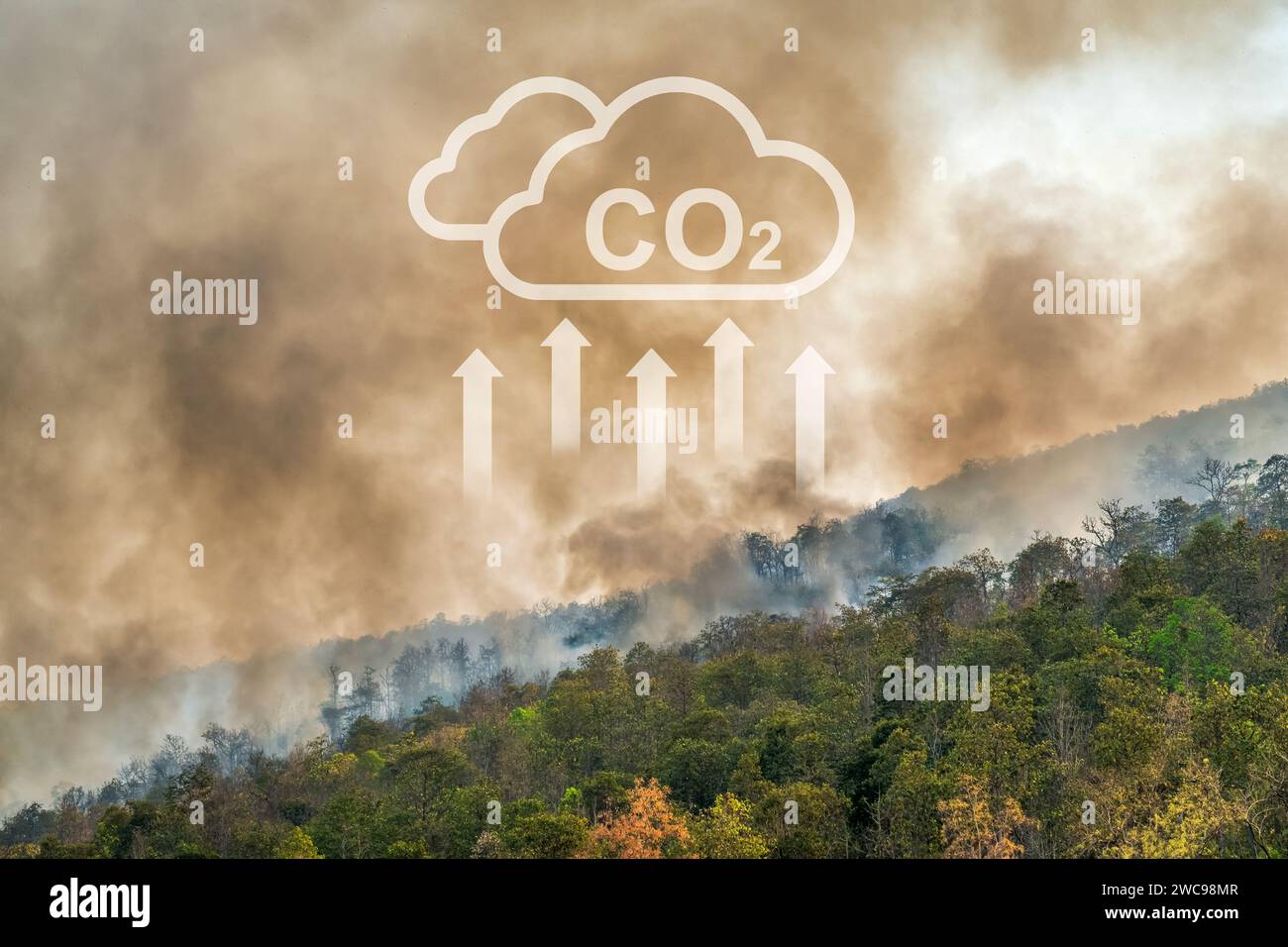 Wildfires release CO2 emissions and other greenhouse gases (GHG) that ...