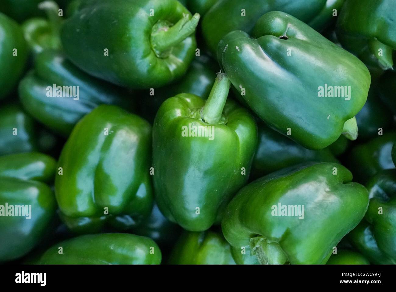 A top view of fresh green peppers in a stack Stock Photo - Alamy