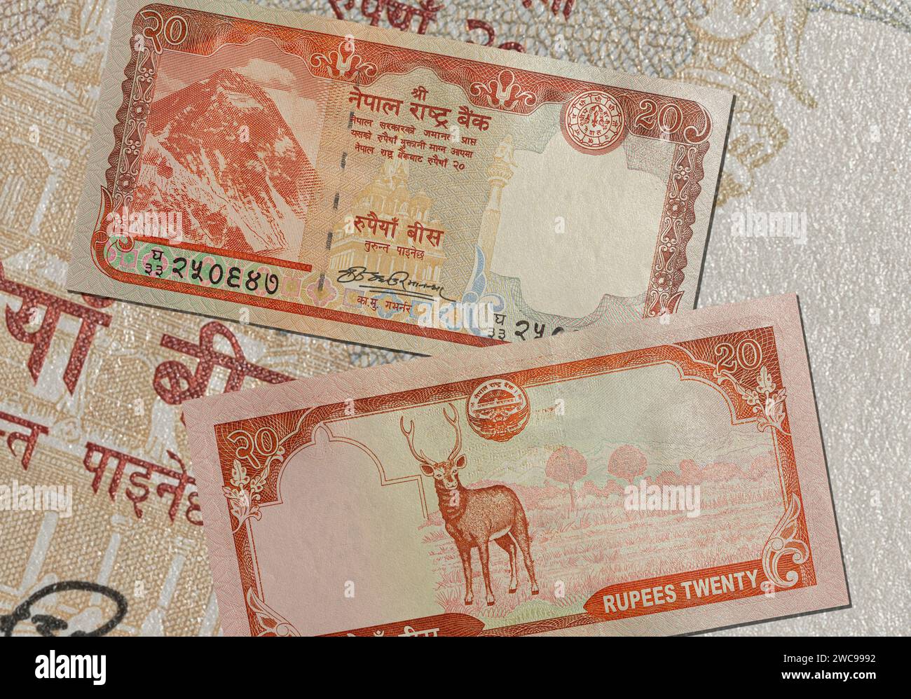 Nepalese rupee hi-res stock photography and images - Alamy