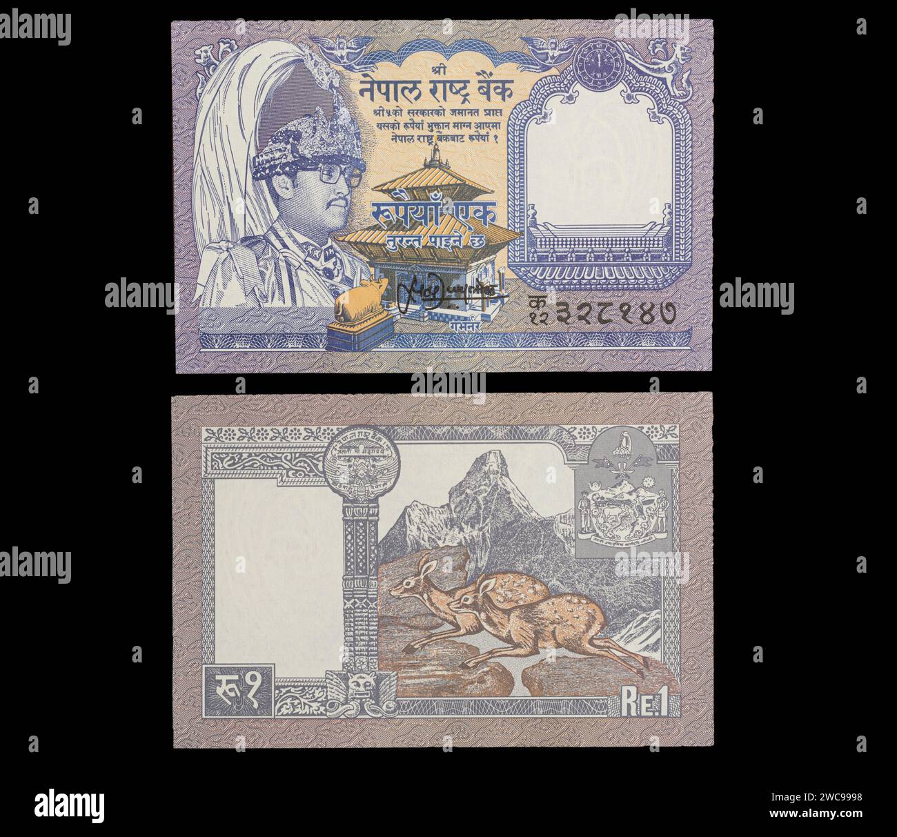 A closeup of a Nepalese ruppee banknote Stock Photo - Alamy