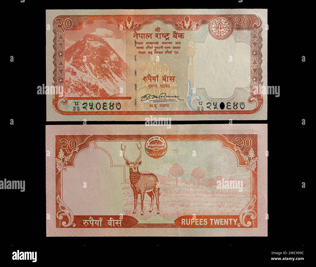 Nepalese rupee hi-res stock photography and images - Alamy
