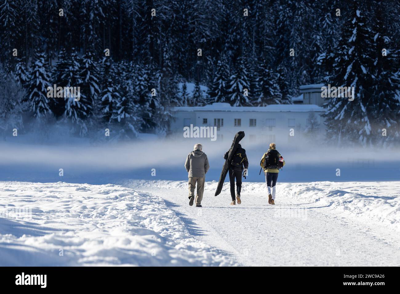 Switzerland Physical Characteristics Of People