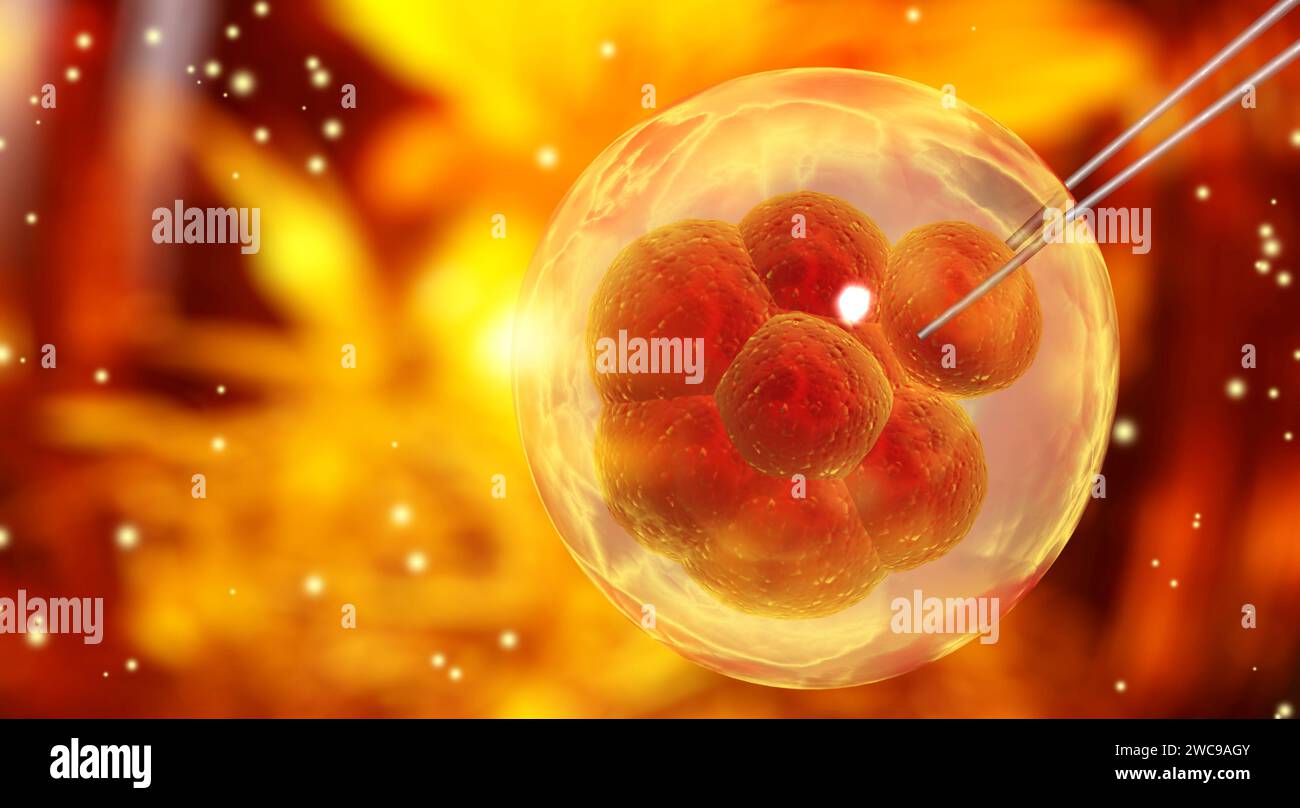 Genetic engineering, GMO and gene manipulation concept. Hi Tech ...