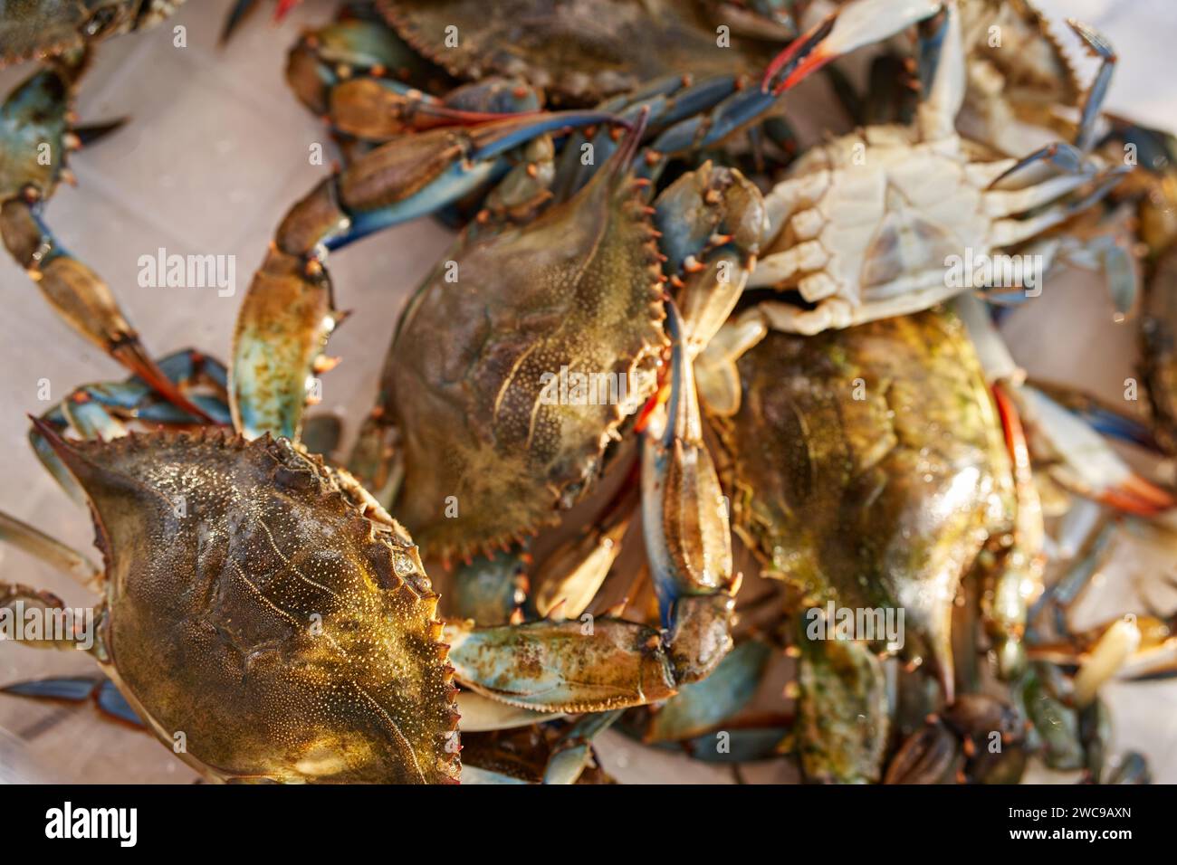 Fresh crabs in box hi-res stock photography and images - Alamy
