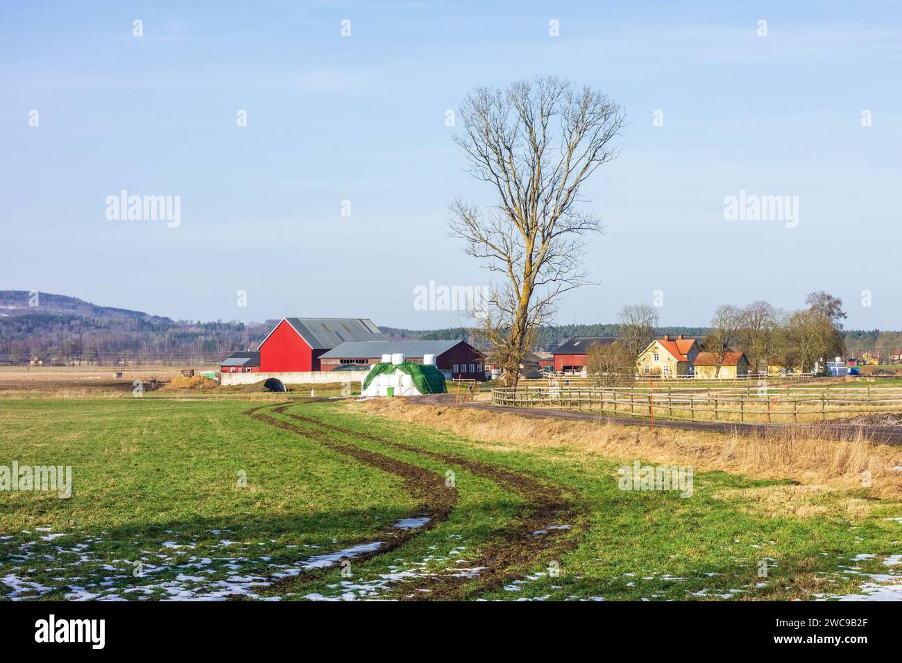 Farm in the countryside at springtime Stock Photo - Alamy