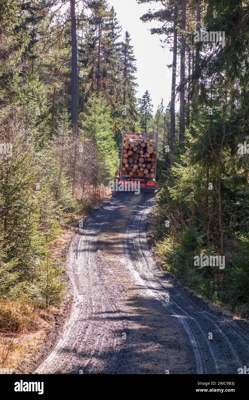 Truck with timber driving on a winding dirt road Stock Photo - Alamy