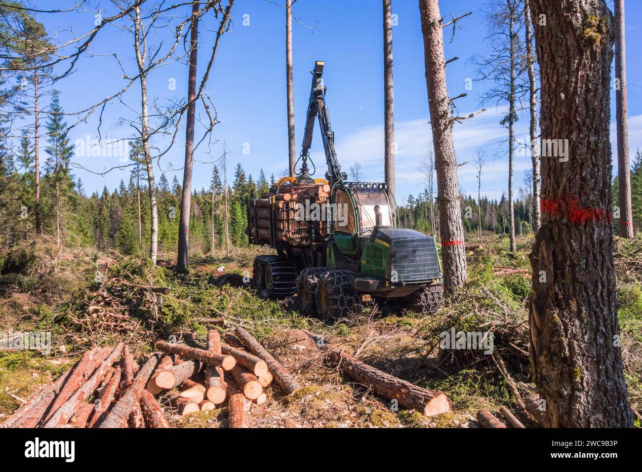 Forestry forwarder hi-res stock photography and images - Alamy